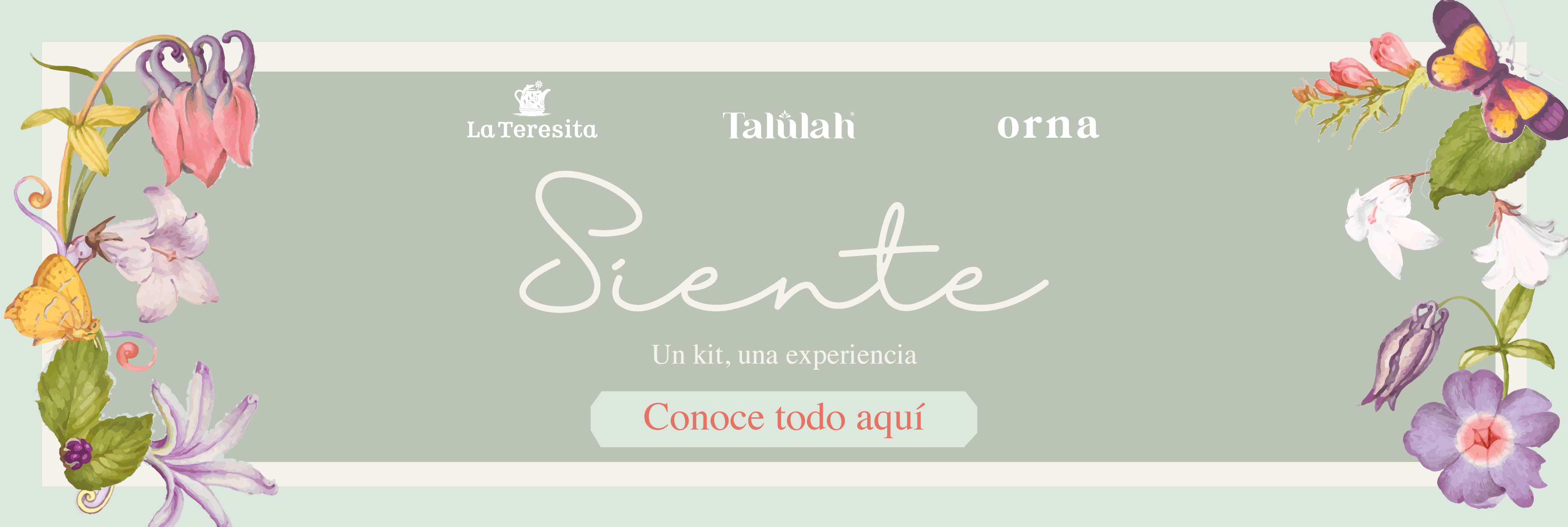 Siente – La Teresita tienda de tés, infusiones y aromáticas 100% Naturales